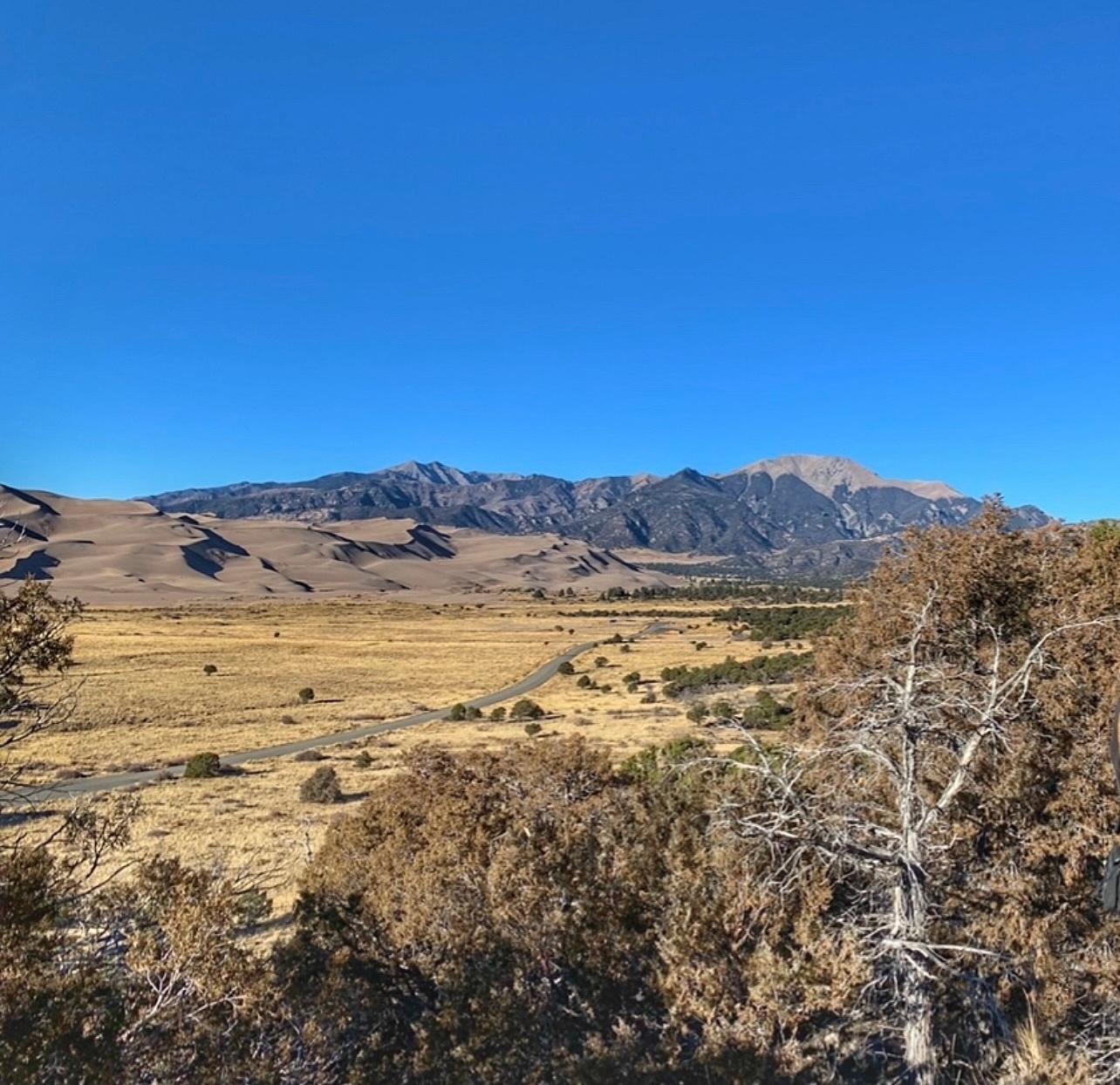 Mosca Pass Trail | Top Horse Trails