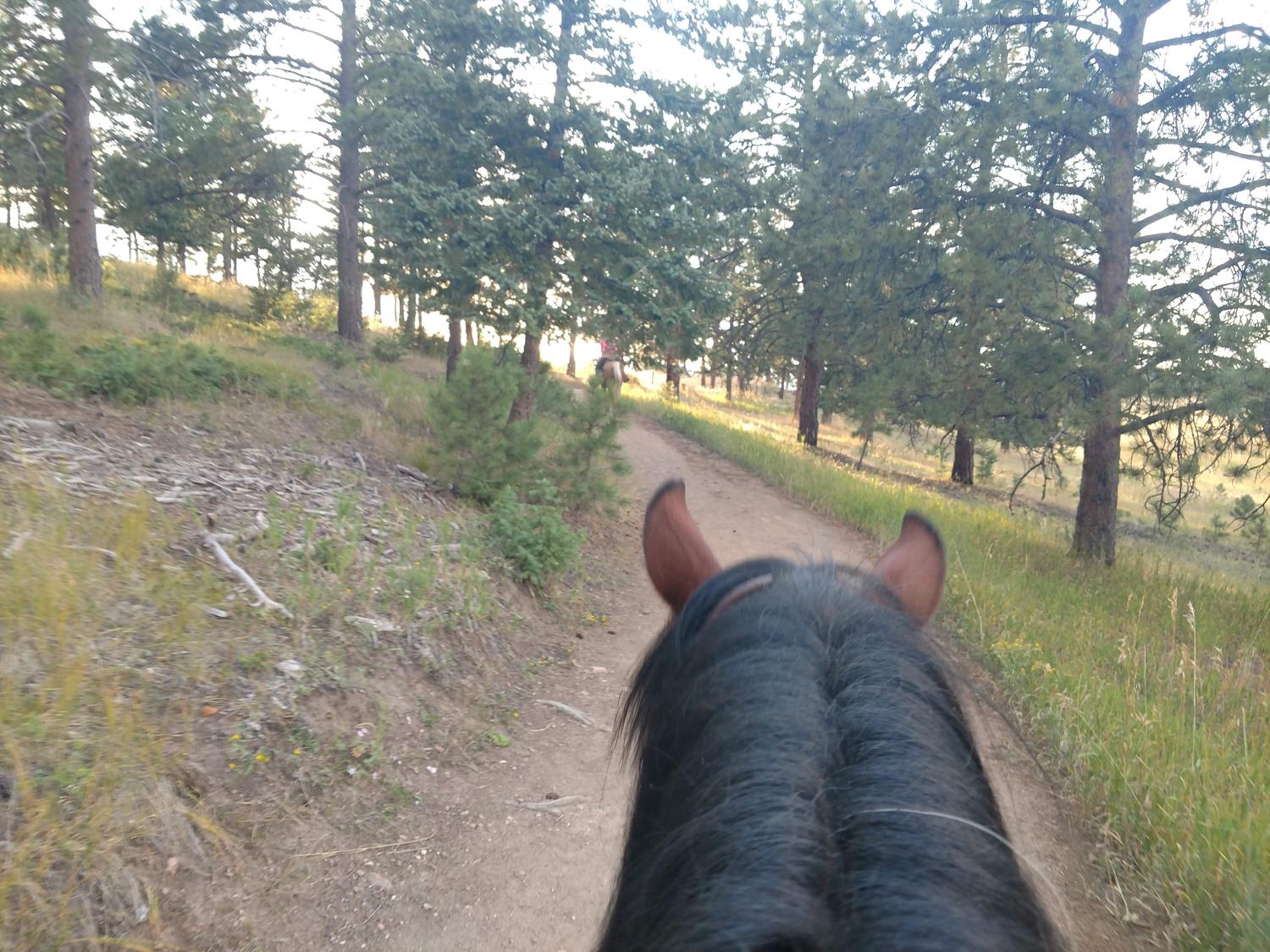 Mount Falcon Loop | Top Horse Trails