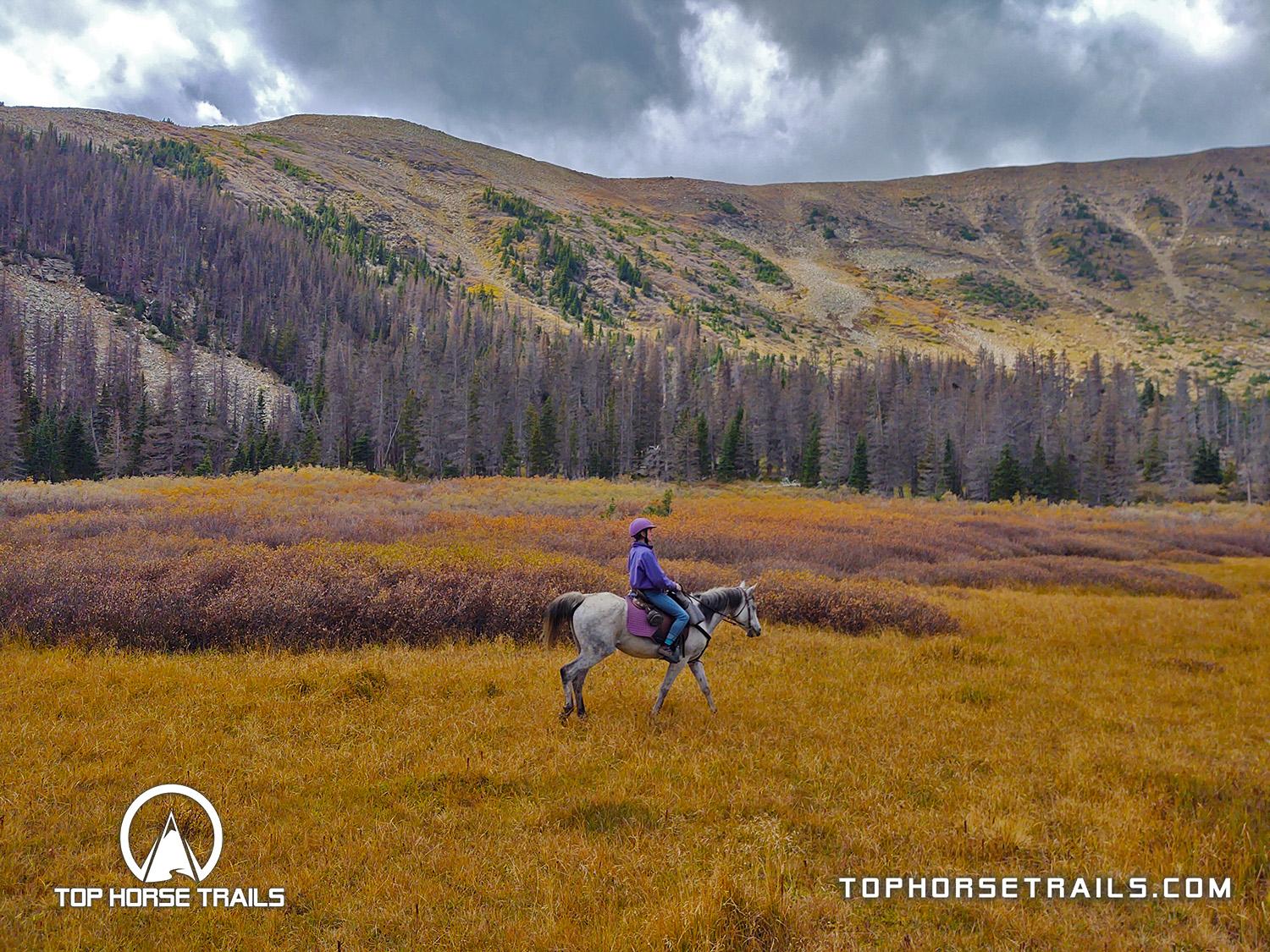 Serpent Lake | Top Horse Trails