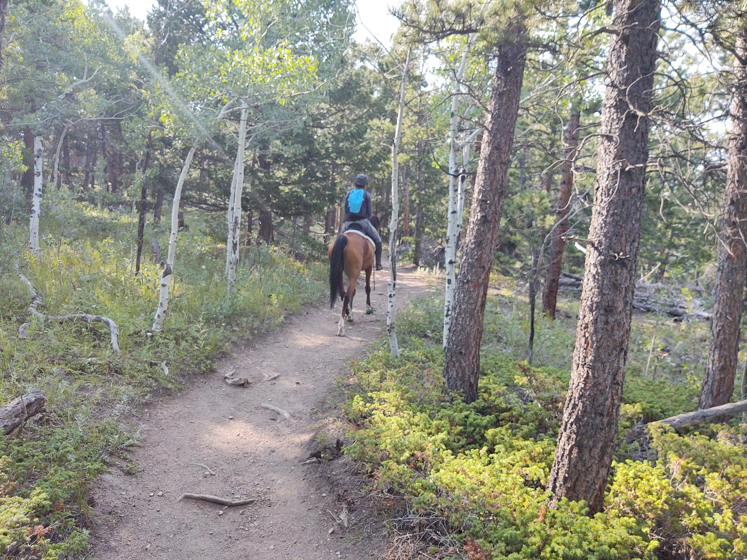 Tungsten and Kinnickinnick Loop at Mud Lake | Top Horse Trails