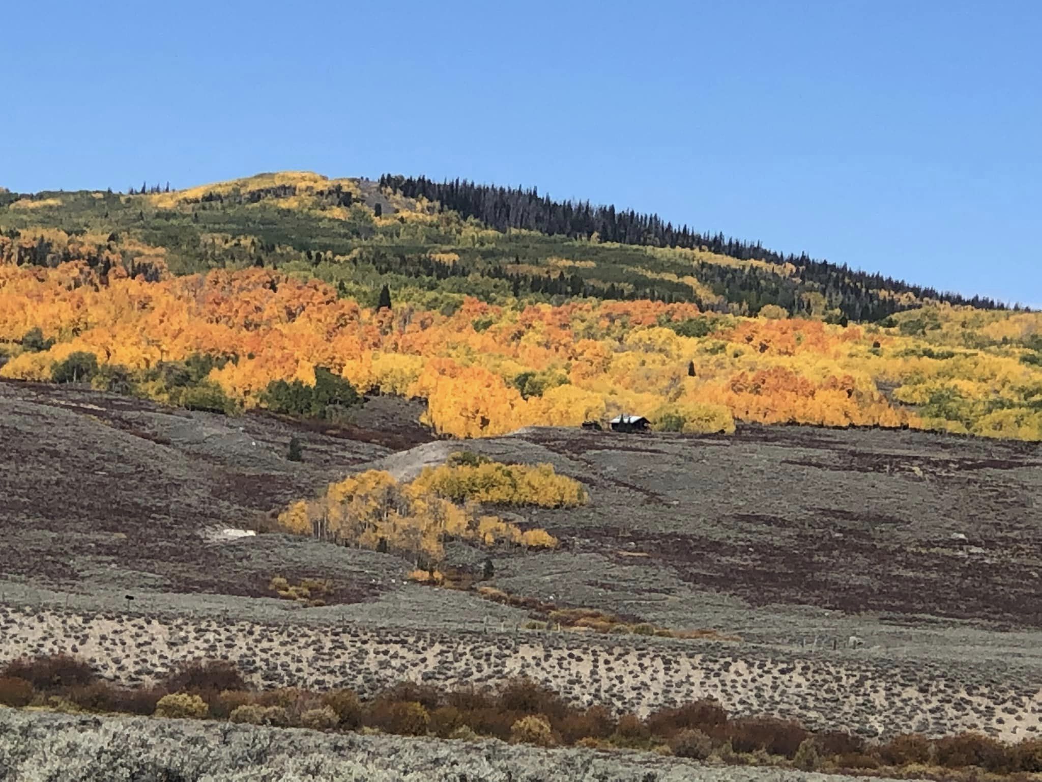 Victoria Creek Loop | Top Horse Trails